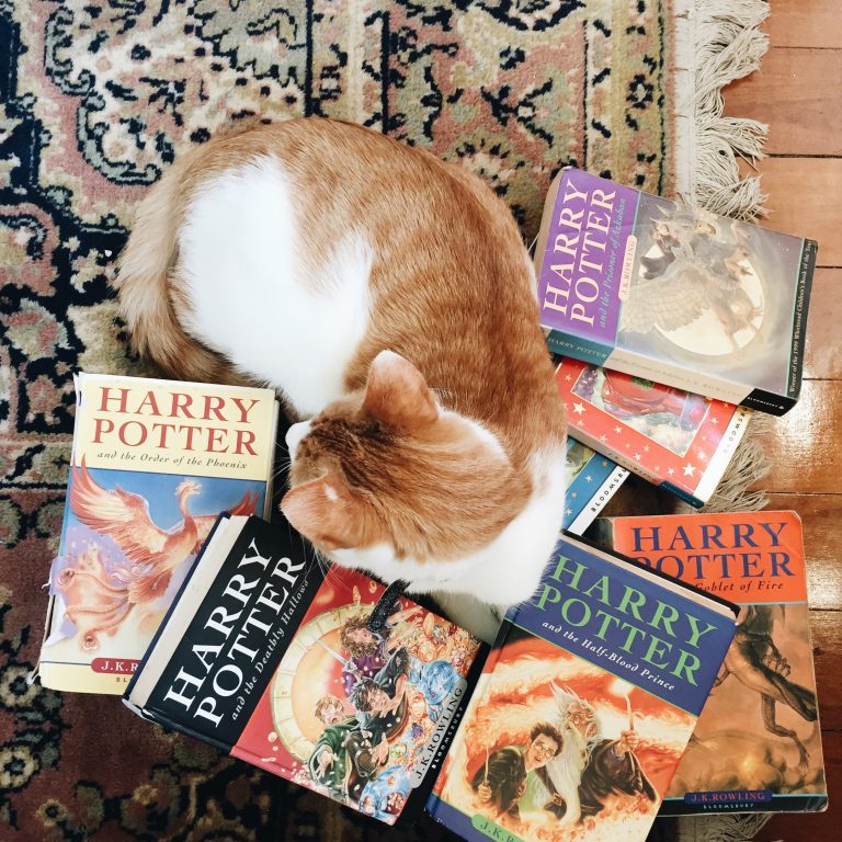 Laura Morley and the Harry Potter Books - Littlewren